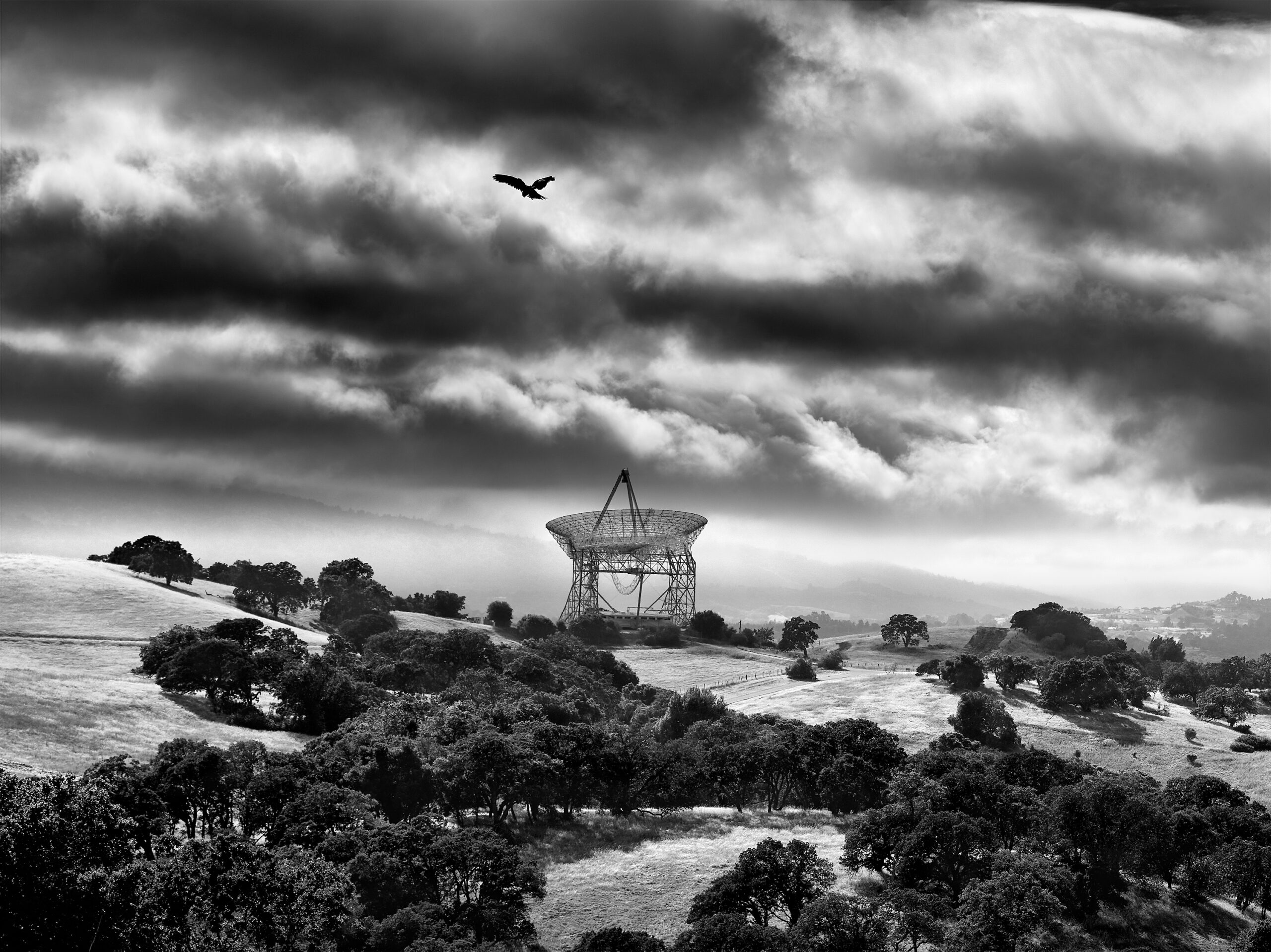 Fine Art Photography by Peter Adams